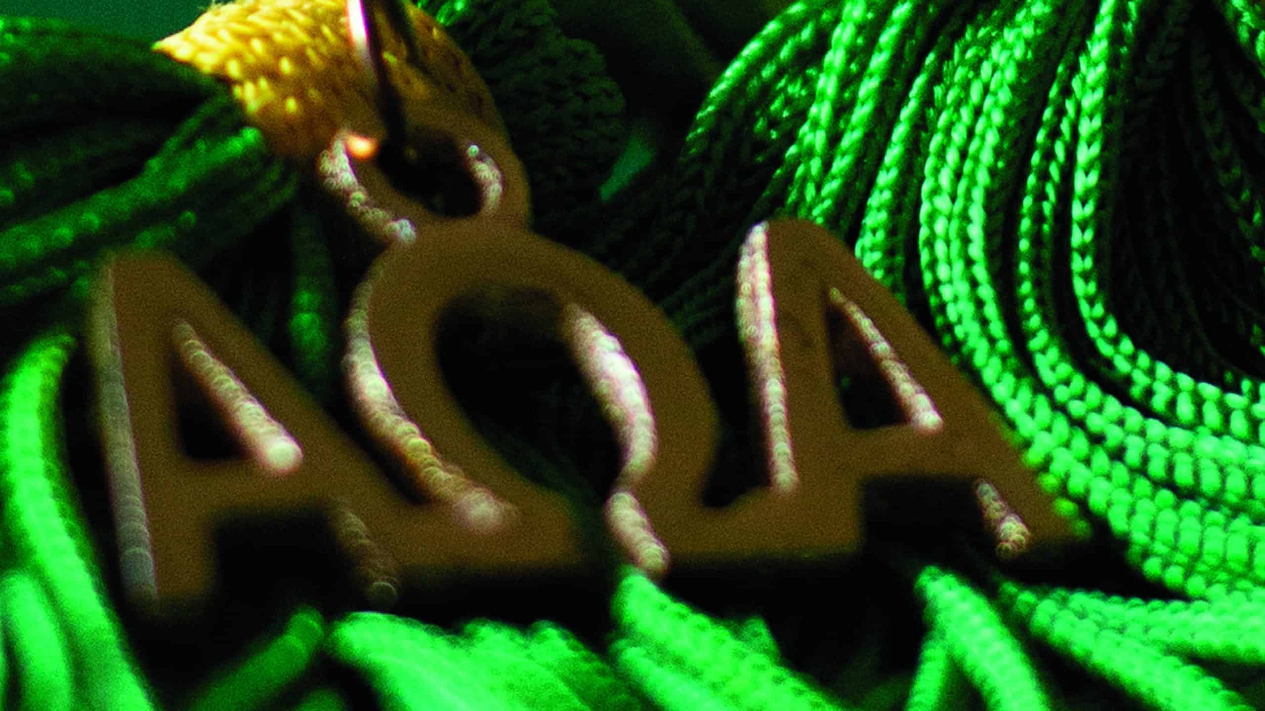 Ten Things to know about AΩA - Alpha Omega Alpha